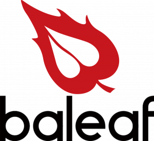 俊亿集团一站式 | 自主品牌baleaf