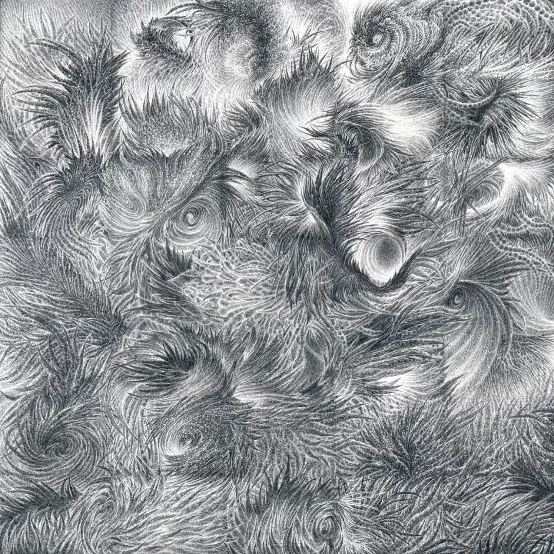 ShinyArt善怡艺术 | XIAOWEI CHEN