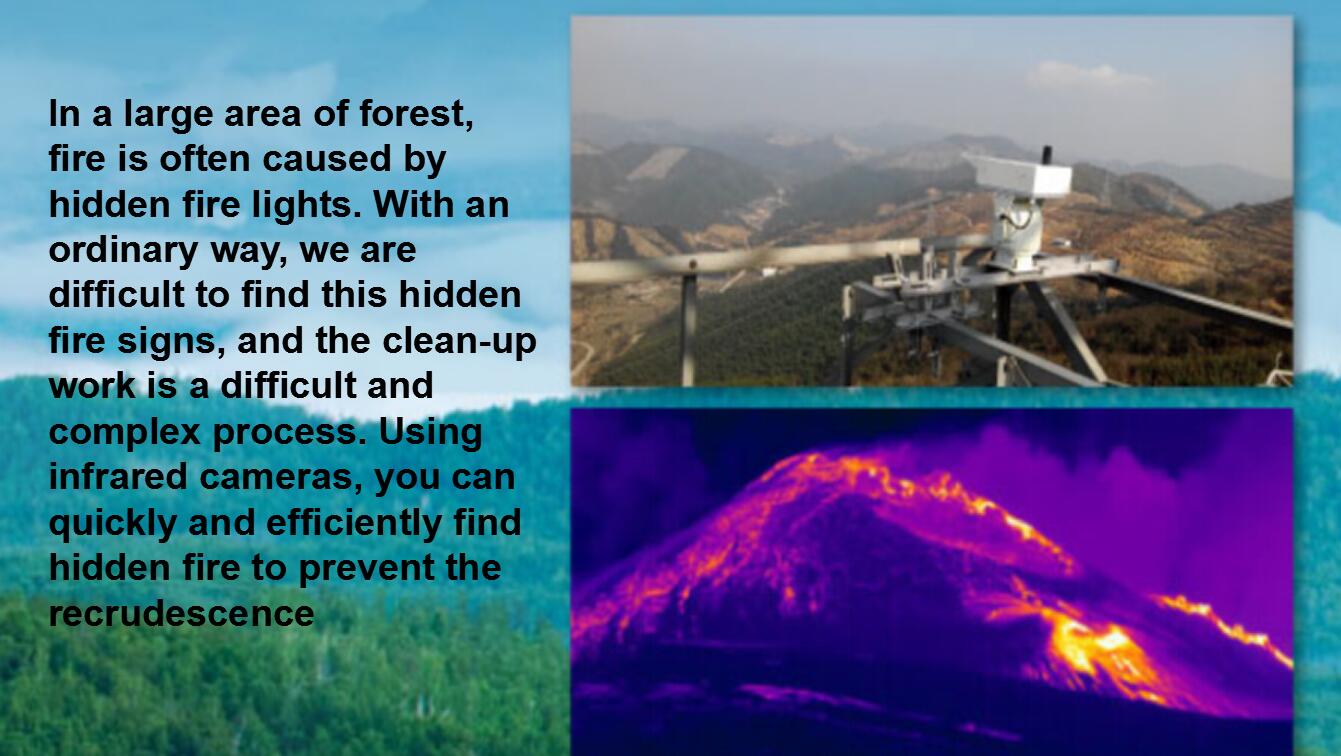 Ray China | Forest Fire Prevention Series