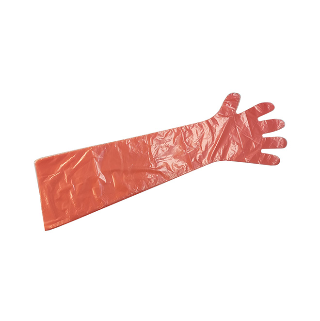 closed gloving veterinary