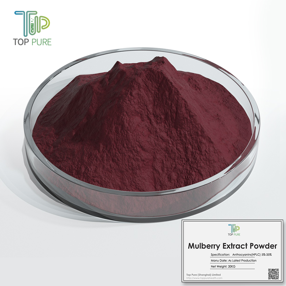 TopPure Health | Plant extract | Mulberry Extract Powder