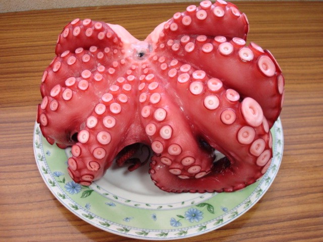 新合記食品 | 煮大八爪 中國製 BOILED TAKO
