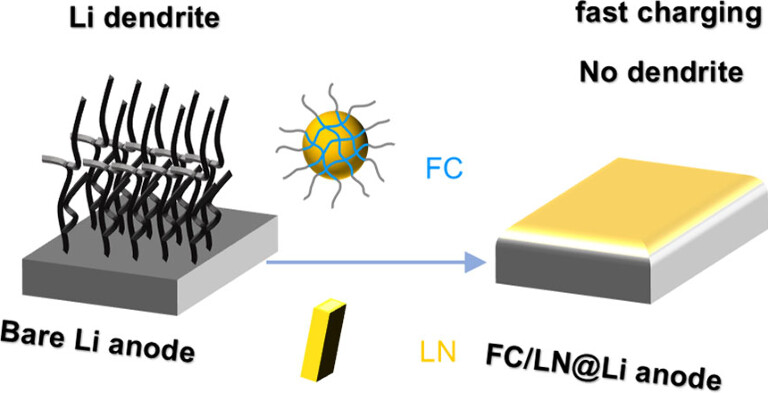 Xinrong Lin Lab | 林欣蓉课题组 | Publications 研究成果