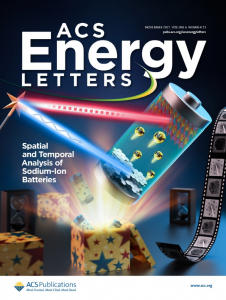 Xinrong Lin Lab | 林欣蓉课题组 | Publications 研究成果