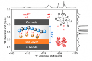 Xinrong Lin Lab | 林欣蓉课题组 | 研究成果