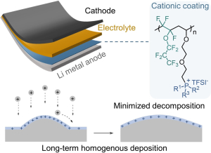 Xinrong Lin Lab | 林欣蓉课题组 | Publications 研究成果