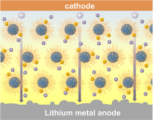 Xinrong Lin Lab | 林欣蓉课题组 | Publications 研究成果