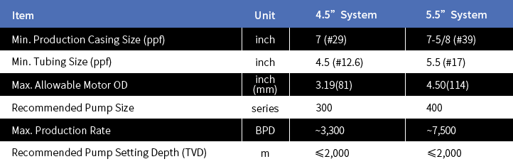rigless ESP | Full Rigless CDESP